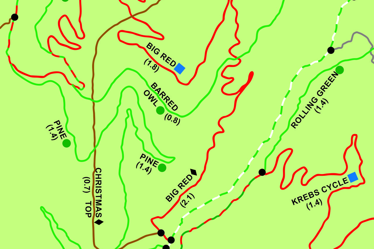 Southern Trails | Southern Adventist University
